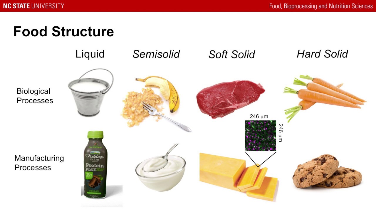 Properties-Based Food Design - Dr. E. Allen Foegeding - YouTube
