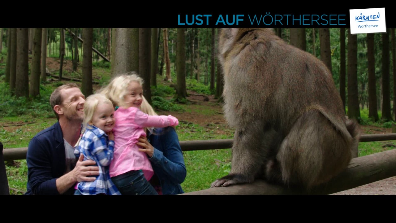 Abenteuer Affenberg Landskron • Ausflugsziele Landskron