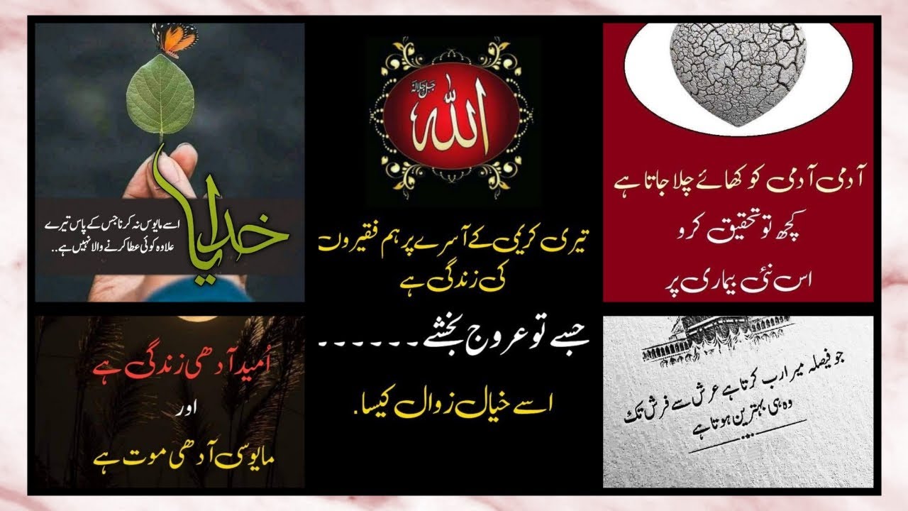 Islamic poetry in urdu|Islamic poetry status|Best urdu quotes ...