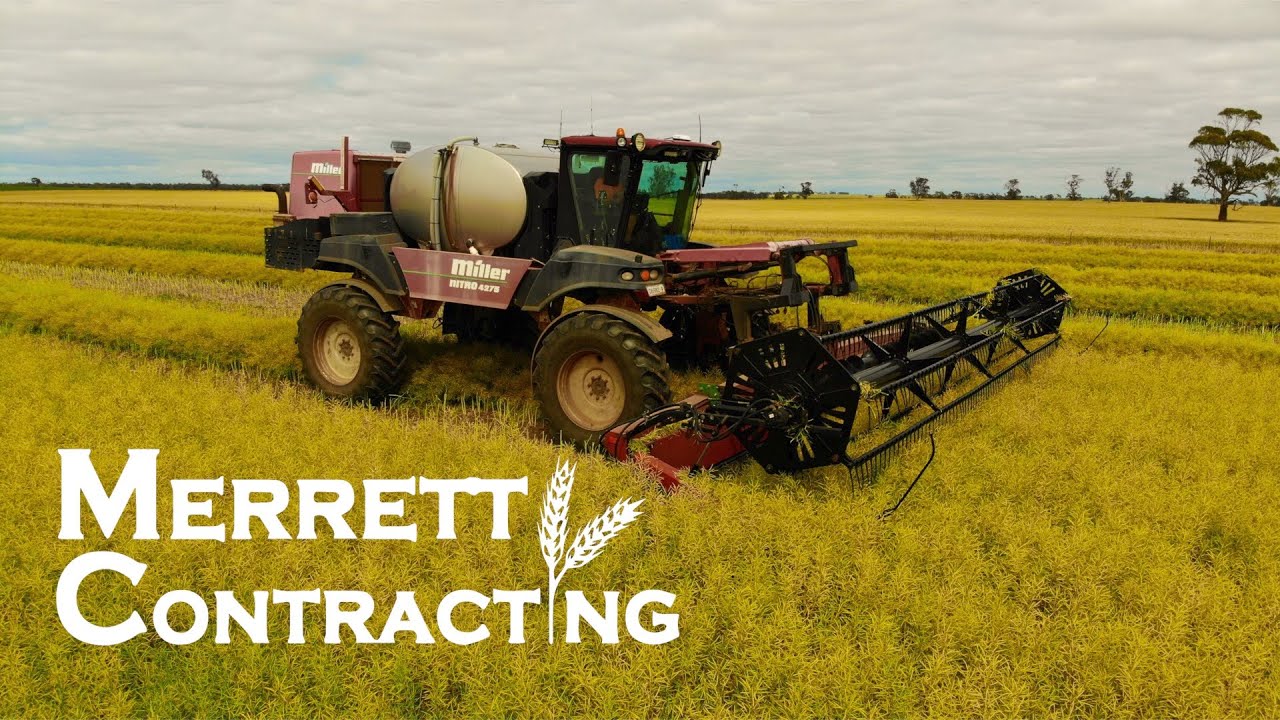 Windrowing Continues | Miller Nitro 4275 - YouTube