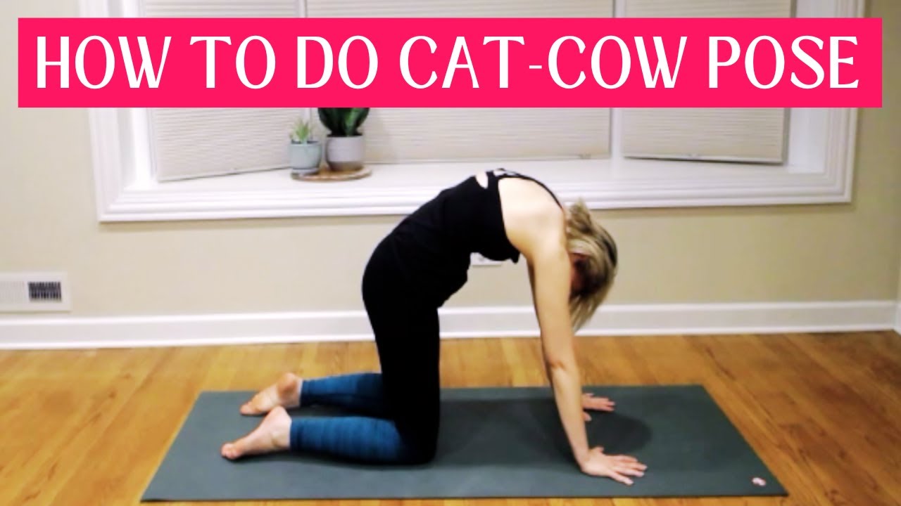 How to Do Cat-Cow Yoga Pose (Yoga for Beginners) - YouTube