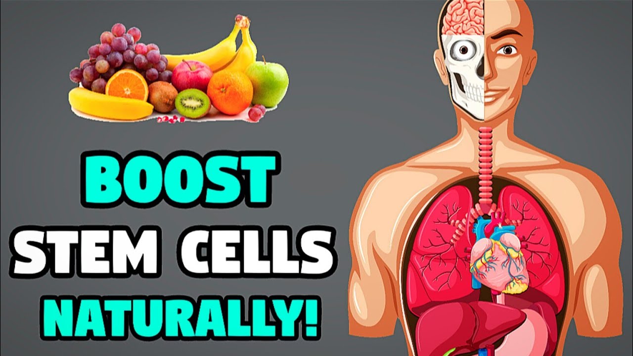 15 Best Foods for Stem Cells | Top Foods That Boost Stem Cells - YouTube