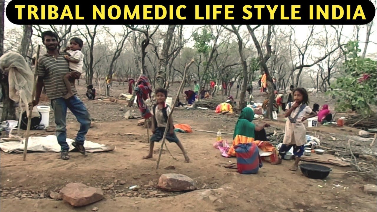 nomedic lifestyle in india || nomed people kitchen tribal life in rural ...