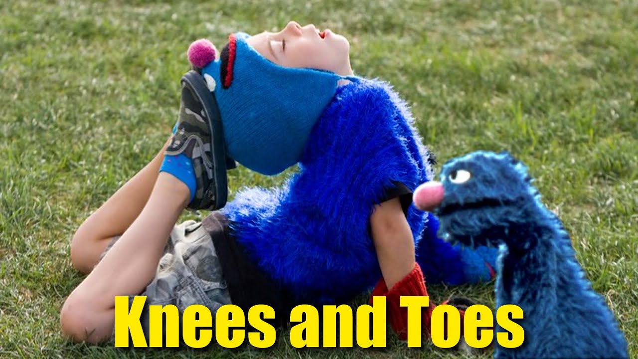 Sesame Street Grover Explains About Knees Read Along - Knee and Toes ...
