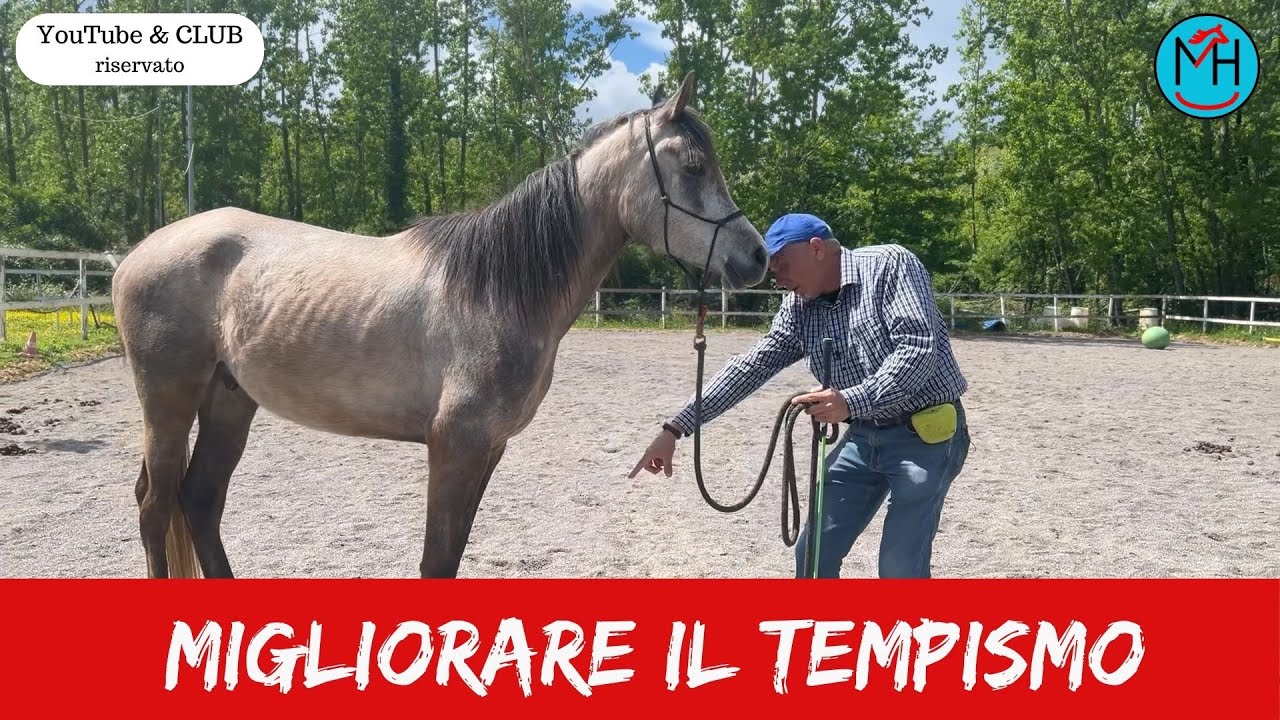 Online - Come migliorare il tempismo - YouTube