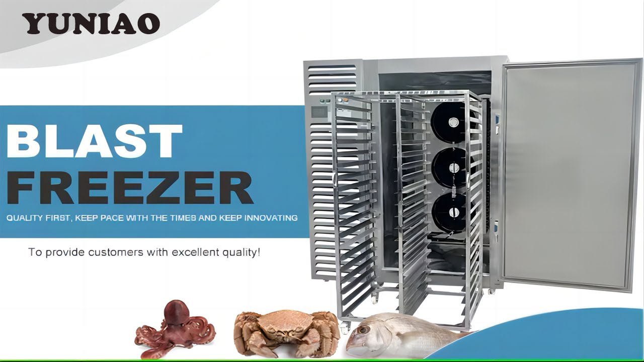 Blast freezer 1100L 30 Tray Blast Chiller Shock Freezer Sea cucumber ...