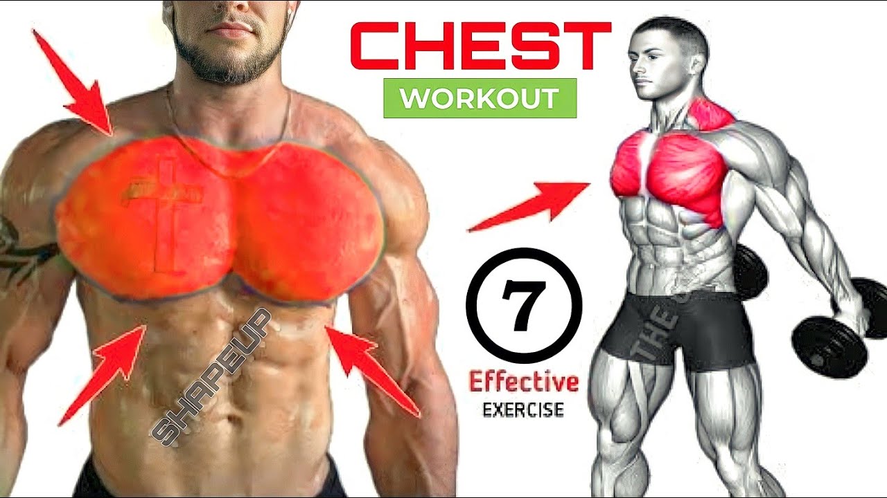 7 Bigger Chest Exercises At Gym - Chest Workout - YouTube