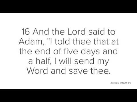 Angel Imam Tv Exclusive The Story of Adam Ann Eve