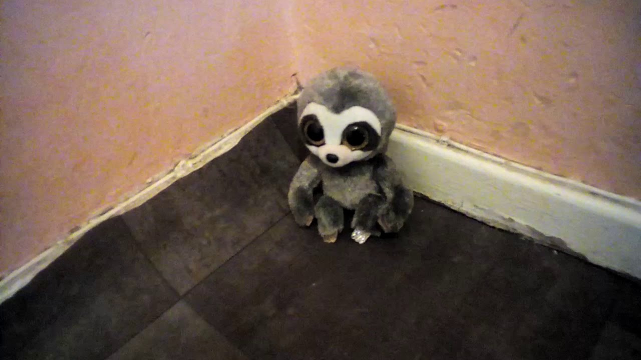 Team sloth forever - YouTube