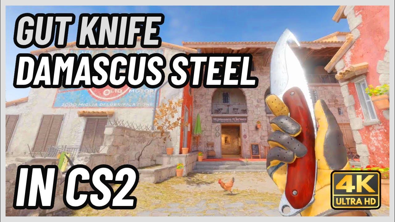CS2 Gut Knife Damascus Steel | CS2 Knife In-Game Showcase [4K] - YouTube