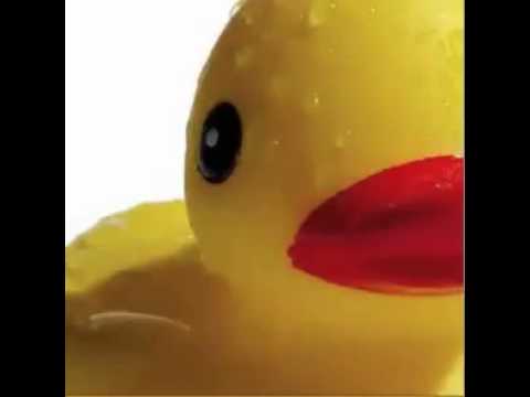 *REUPLOAD* TheDuckVoice Outro Song ( Smoke QUACK Everyday ) 10 min ...