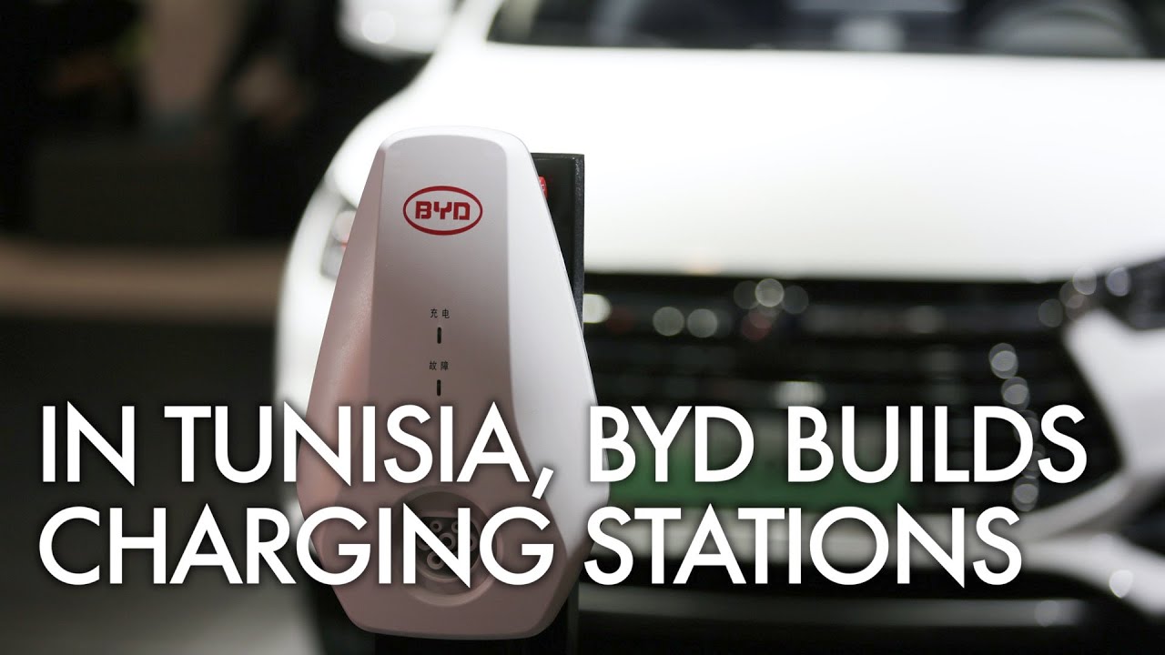 China's EV giant BYD launches photovoltaic charging station in Africa's ...