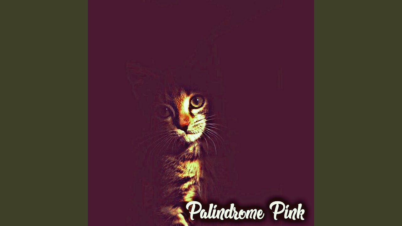 Palindrome Pink - YouTube