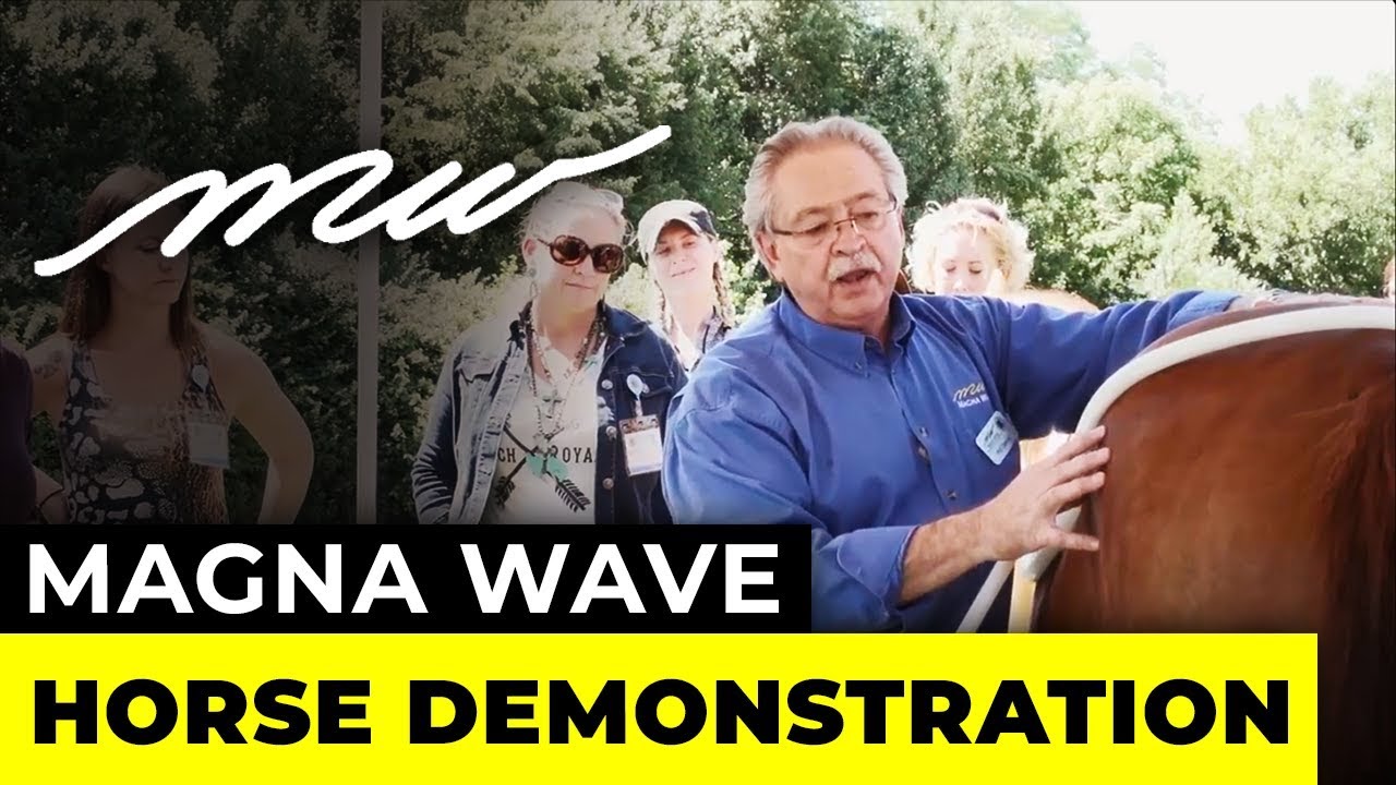 Magna Wave Horse Demonstration - YouTube