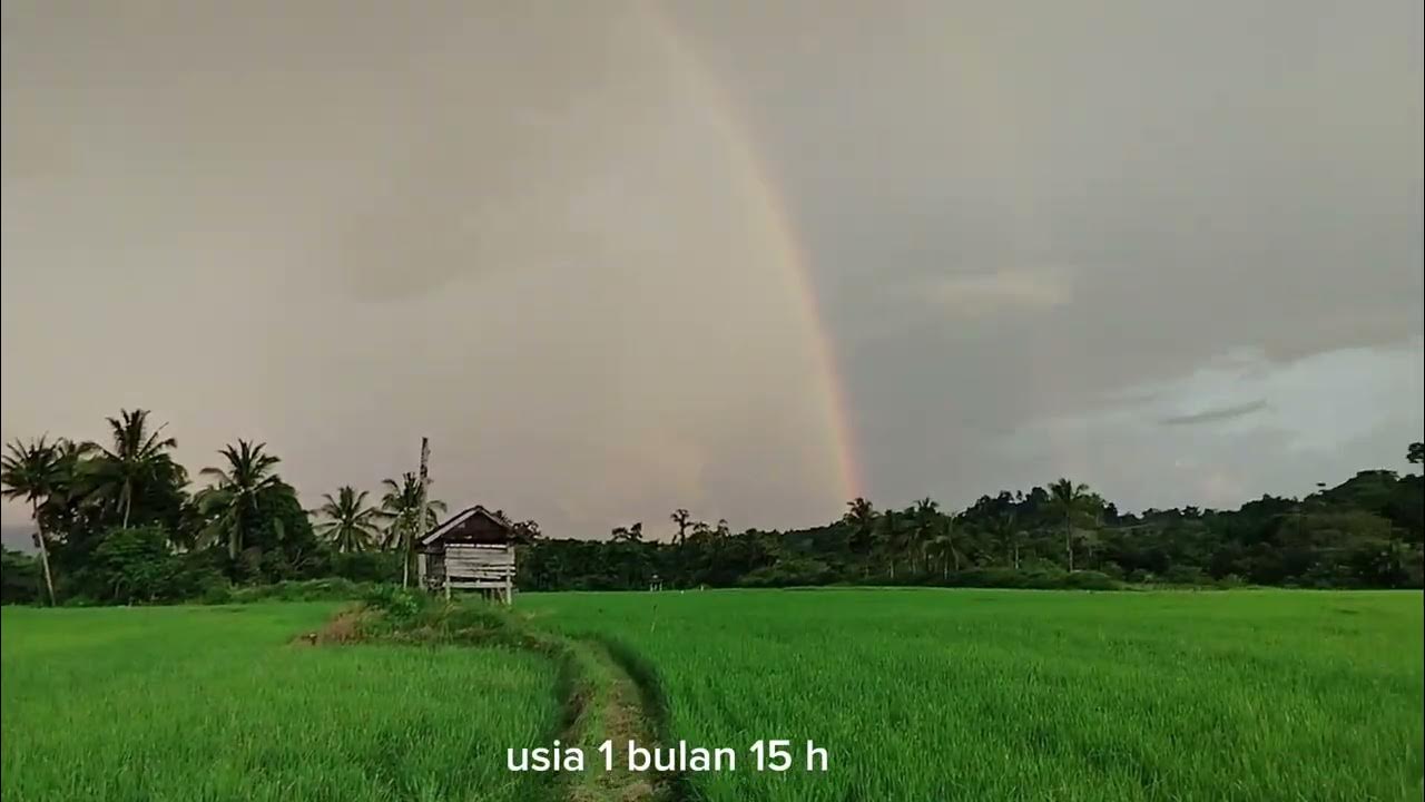 Setelah hujan pasti ada pelangi - YouTube