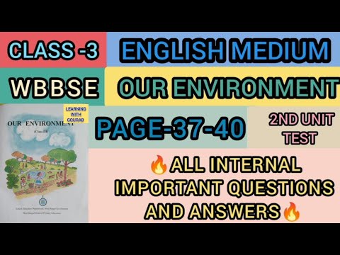 CLASS 3 EM OUR ENVIRONMENT PAGE -37-40 - YouTube