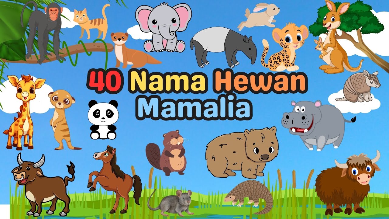 Belajar Mengenal Nama Hewan Mamalia | learn the names of mammals | 40 ...