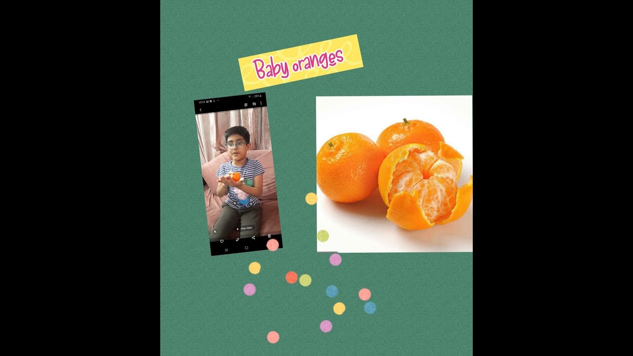 Baby Oranges || Where I Can Get Mini Oranges - YouTube