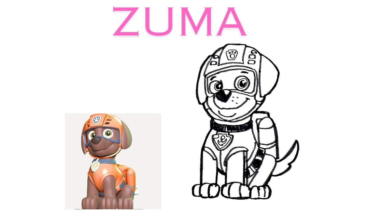 How To Draw Zuma from PAW PATROL | Drawing Tutorial Step By Step (Easy ...