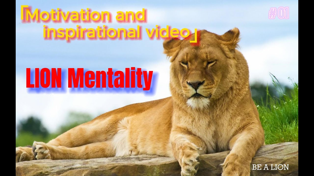 LION Mentality "Be a LION" | Motivation and inspirational video - YouTube