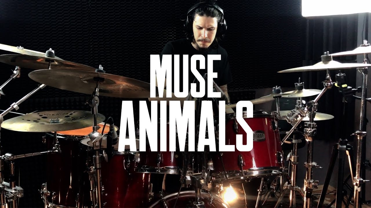 Muse - Animals Drum Cover - YouTube