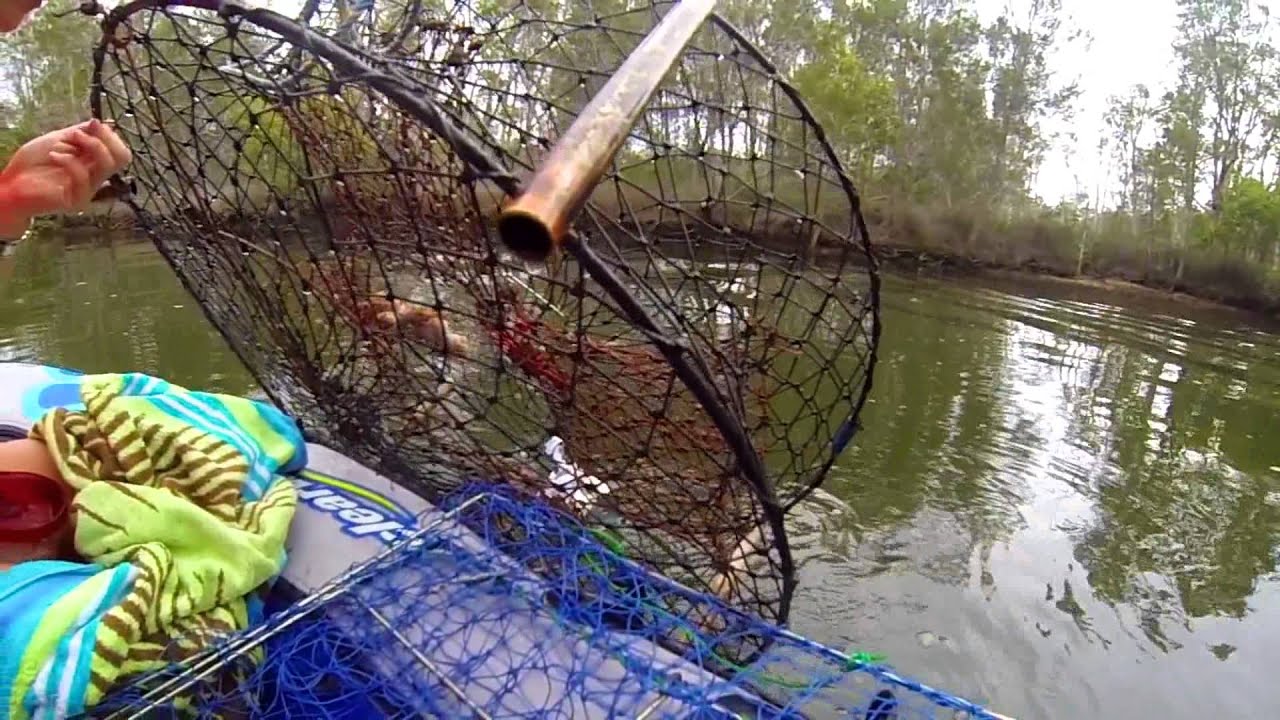 catching mud crabs at kingscliff - YouTube