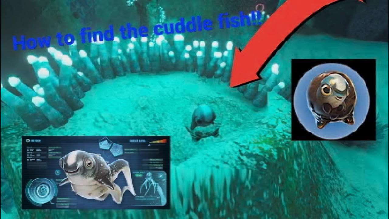 How to find the cuddle fish in Subnautica! - YouTube