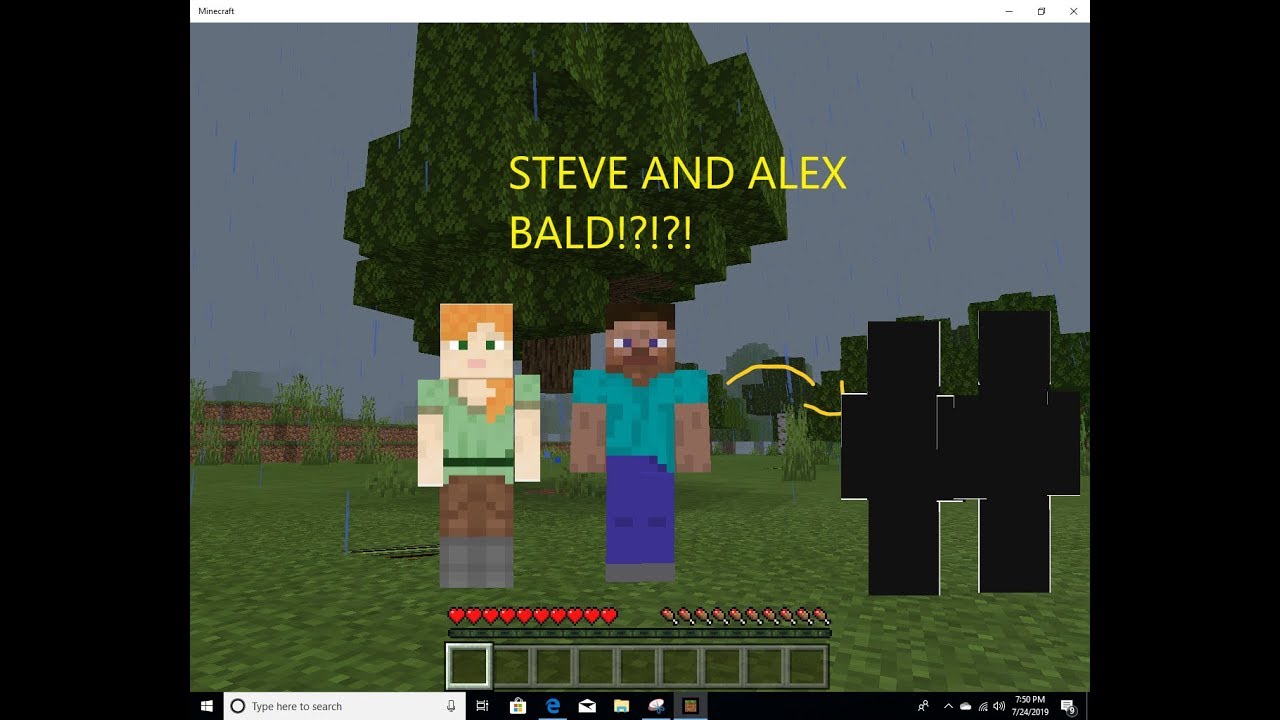 Minecraft: This is how Steve and Alex WOULD LOOK LIKE if they were BALD ...