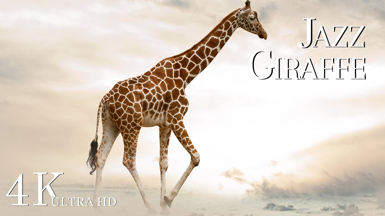 JAZZ ANIMAL SOUNDS * Giraffe * The Best Vocal Improvisor * Animal Sound ...