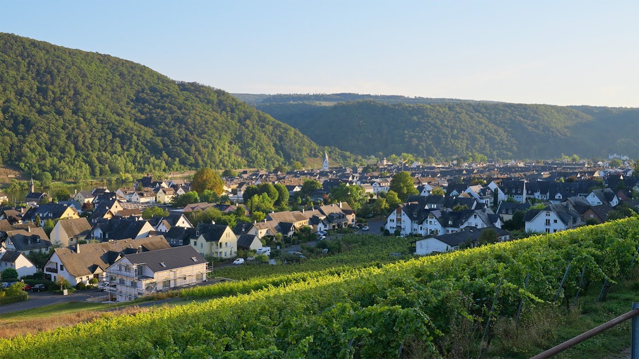 Cityscape view of a small town of Winningen surrounded by vineyards and ...
