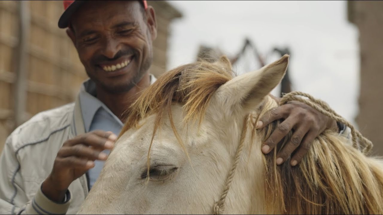 Tessema's story - YouTube