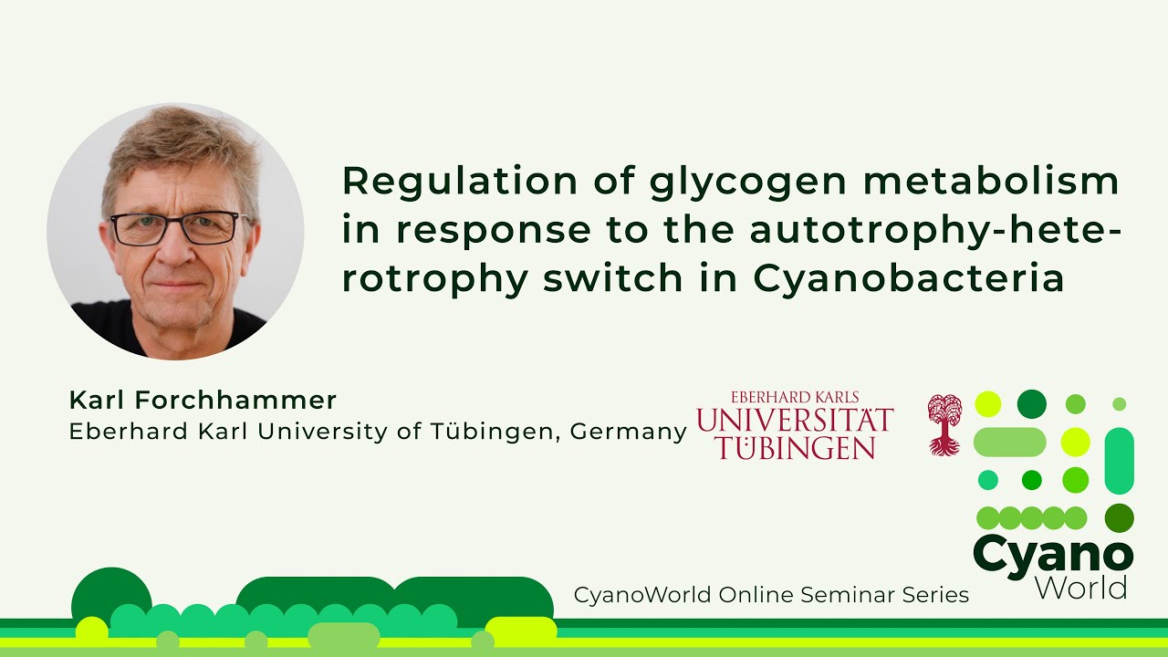 Karl Forchhammer | Regulating glycogen metabolism in response to the ...