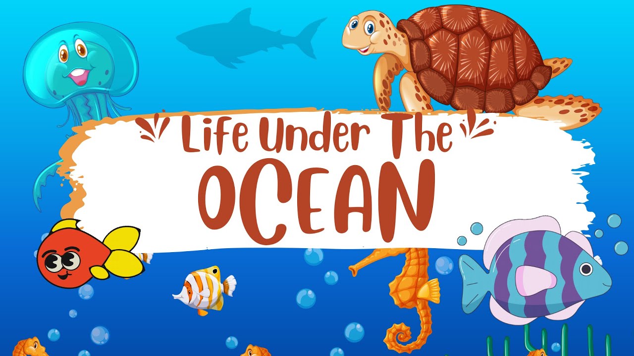 Life Under The Ocean, Look How INCREDIBLE these creatures! - YouTube