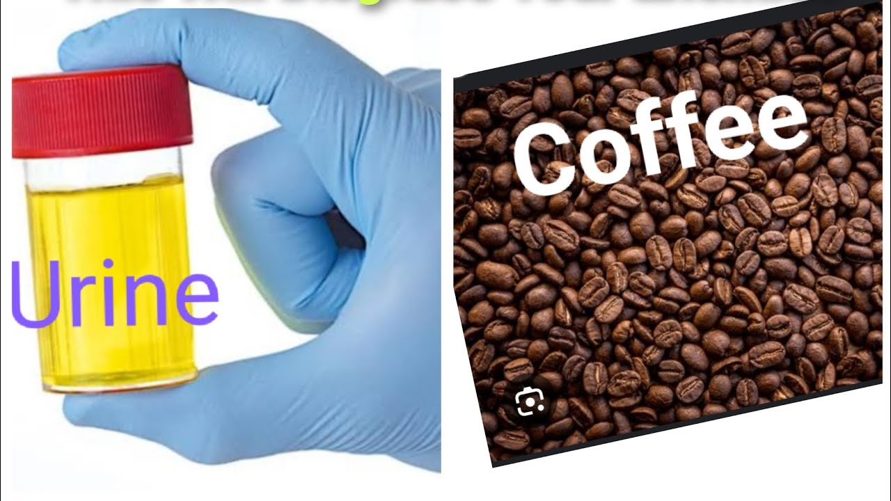 Use Coffee and Urine if nothing is working for you #urine #coffee , # ...