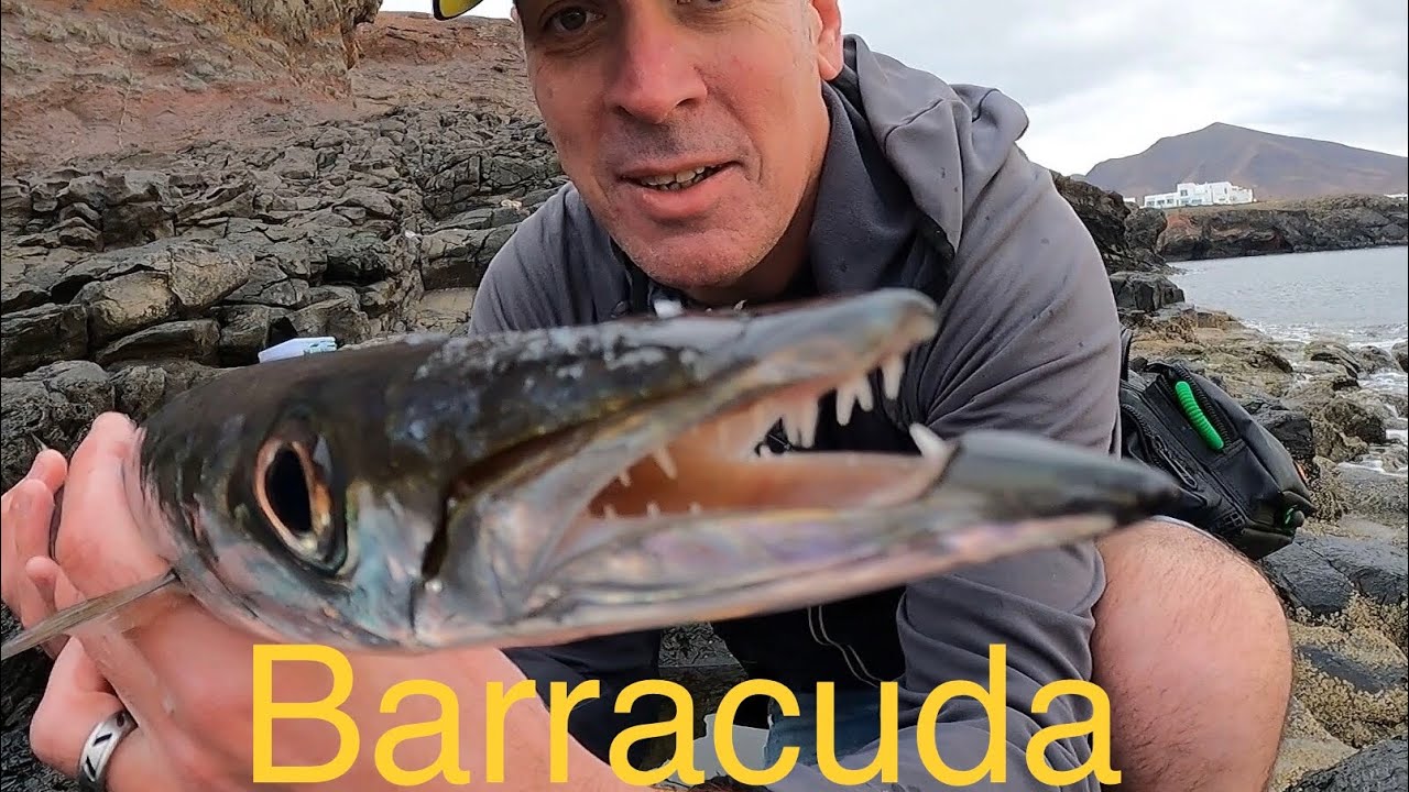 Lanzarote lure fishing for Barracuda Canary Islands in January - YouTube