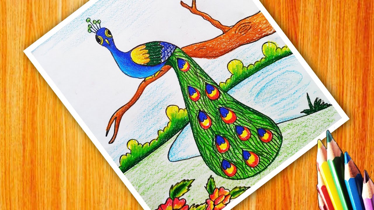 Peacock Drawing|How To Draw A Peacock Scenery|Easy Scenery Drawing For ...