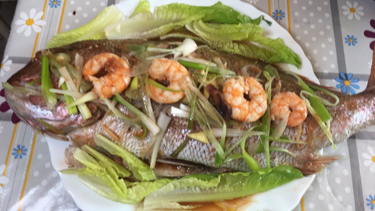 STEAM FISH (MAYA MAYA) - YouTube