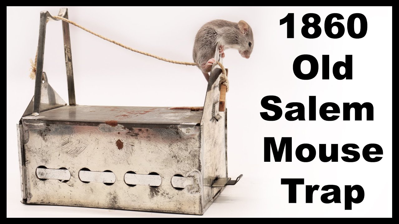 1860 Old Salem Tin Mouse Trap Catches A Mouse In The Barn. A Great ...