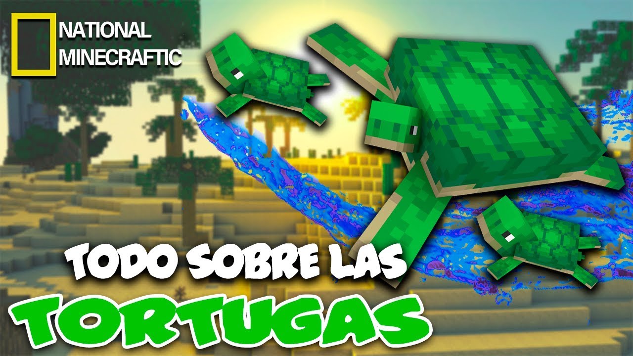 MINECRAFT: ¡TODO SOBRE LAS TORTUGAS! - YouTube