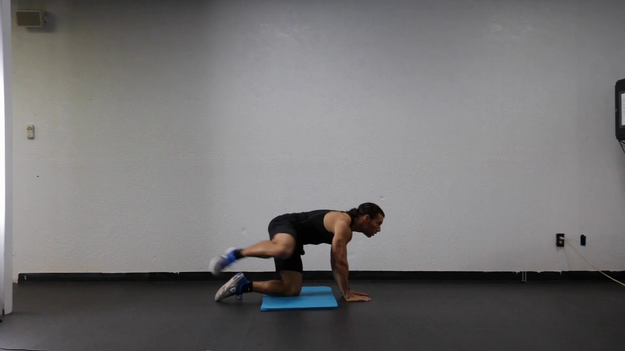 Reverse Quadruped Hip Circles Right (1533) - YouTube
