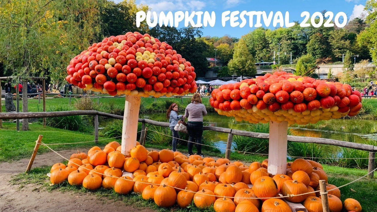 Europe Pumpkin Festival 2020 | Ludwigsburg Germany | World's largest ...