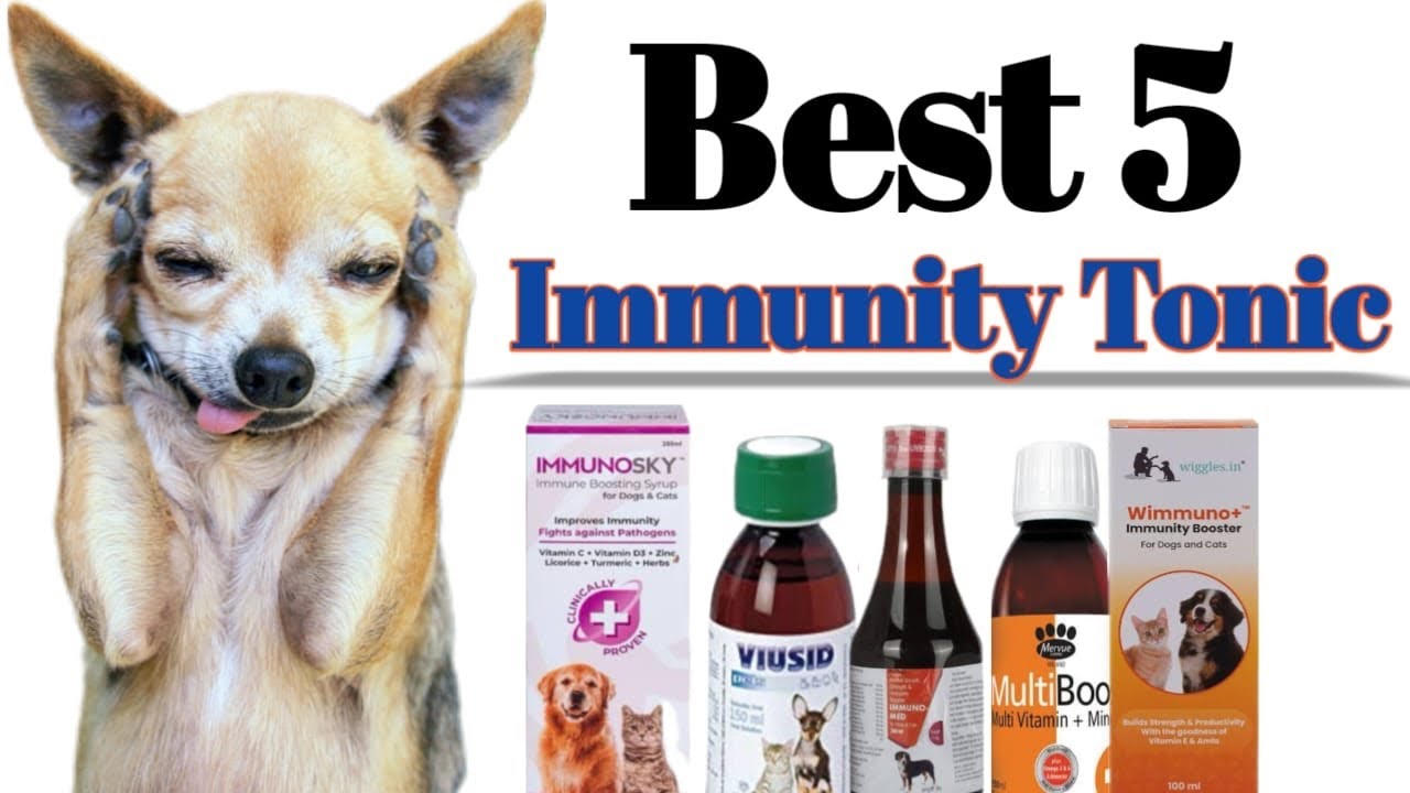 Best five immunity booster tonic for dogs - YouTube