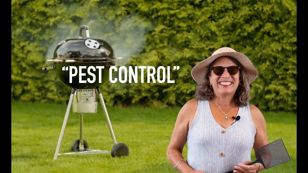 Communications Observation: "PEST CONTROL" - YouTube