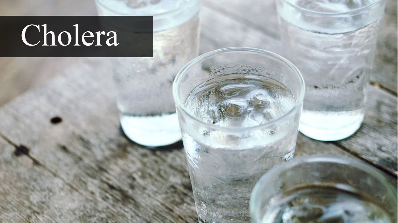 Cholera | Top 10 Effective Step How to Prevent Cholera - YouTube