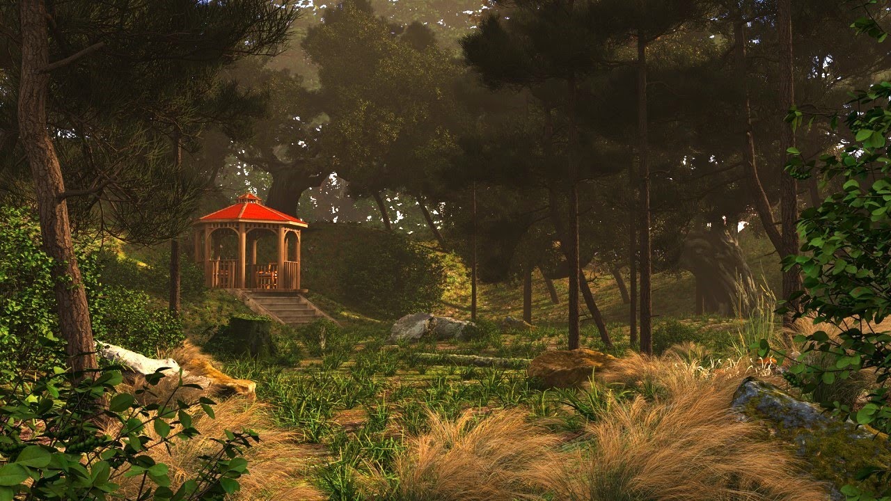 Woodland Ambience | Wind Through Trees, Bird Song, Forest Sounds | 3 ...