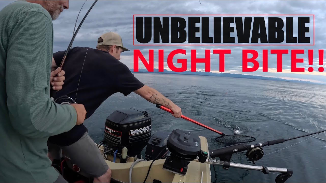 Best Fishing Ever!! The Night Bite. - YouTube