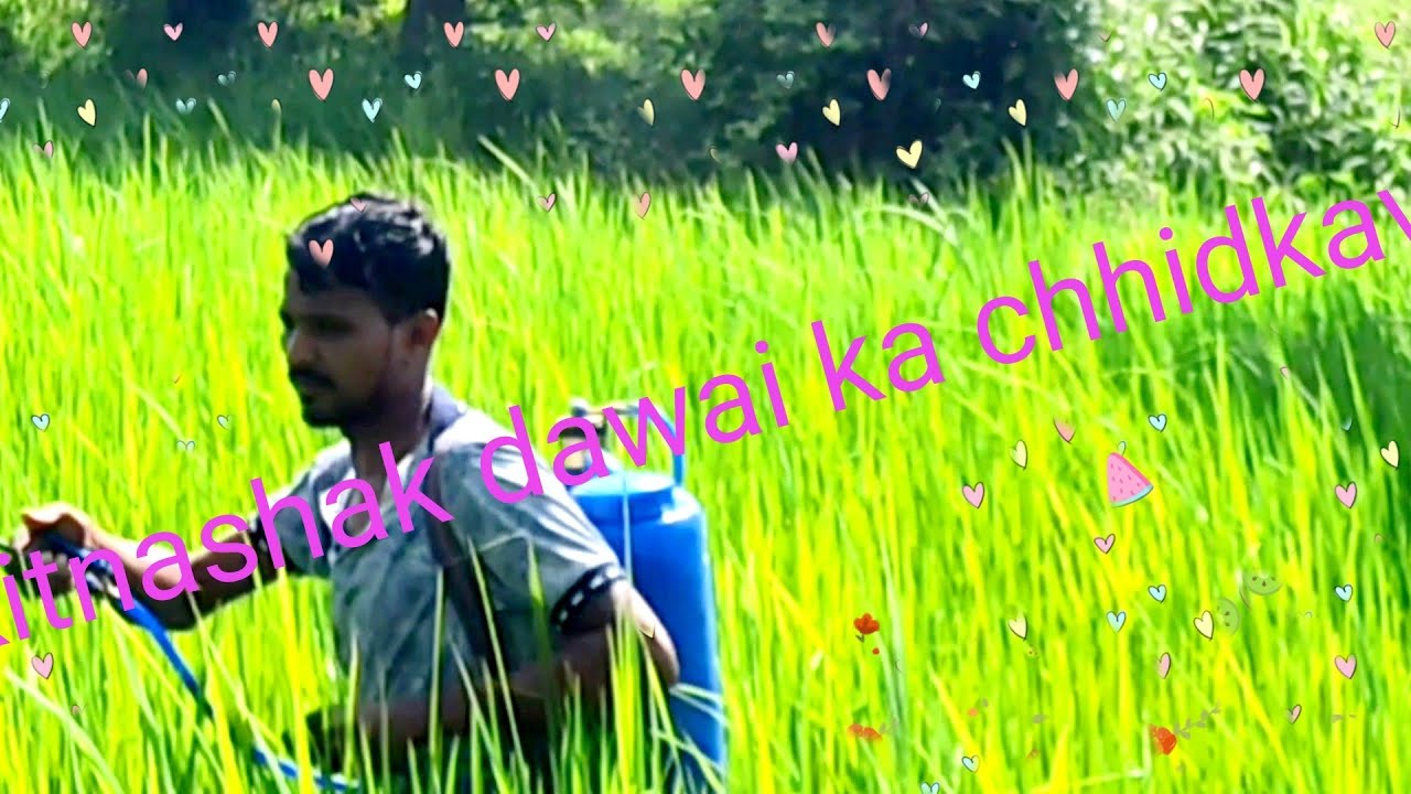 kitnashak dawai ka chirgaon c.g Manju.vlog @ # 🇮🇳 - YouTube