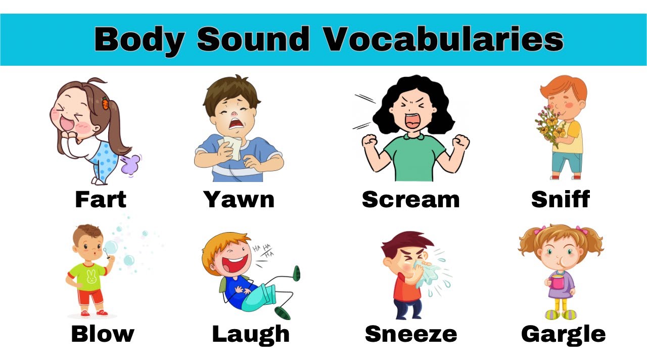Human Body Sound Vocabulary | English Vocabulary With Examples # ...