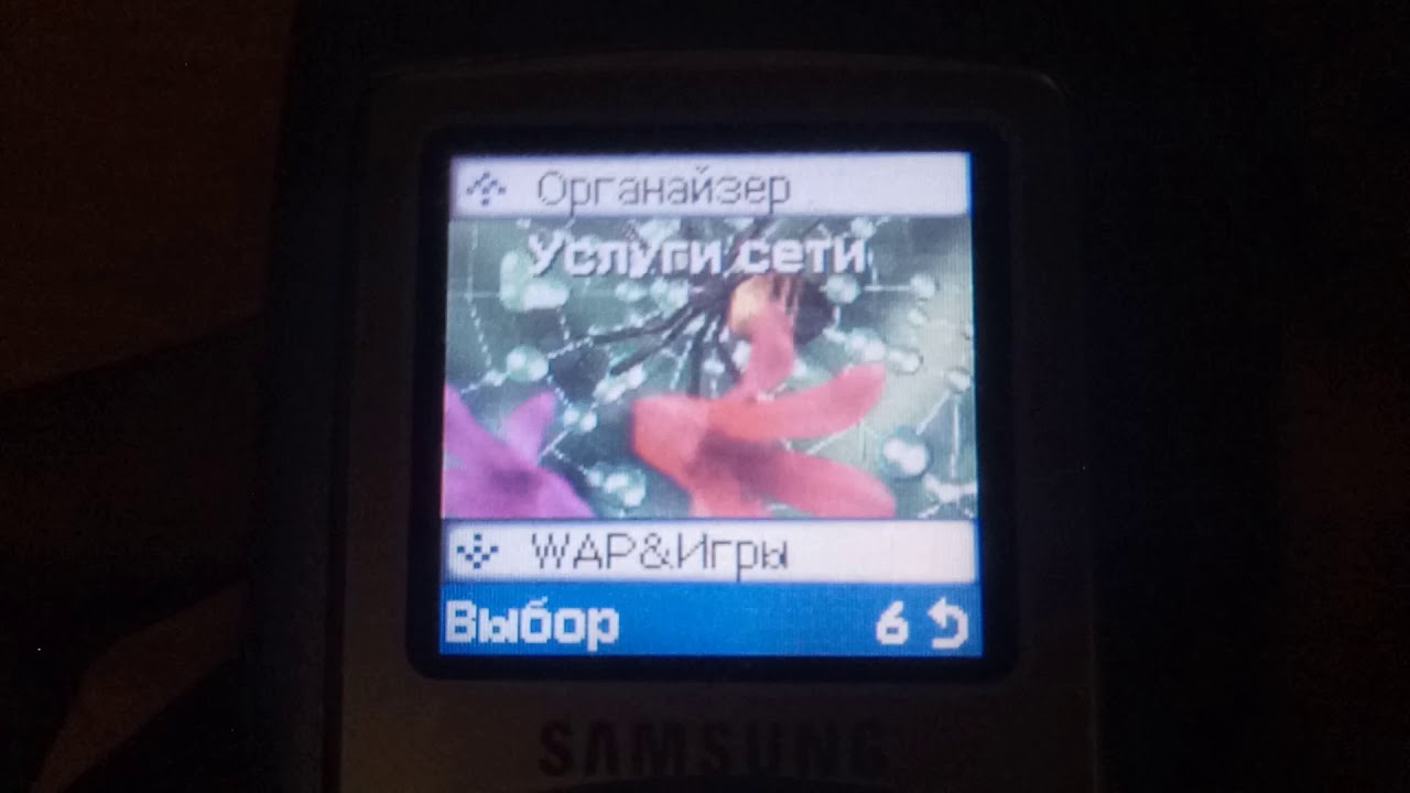 Обзор телефона samsung c100 - YouTube