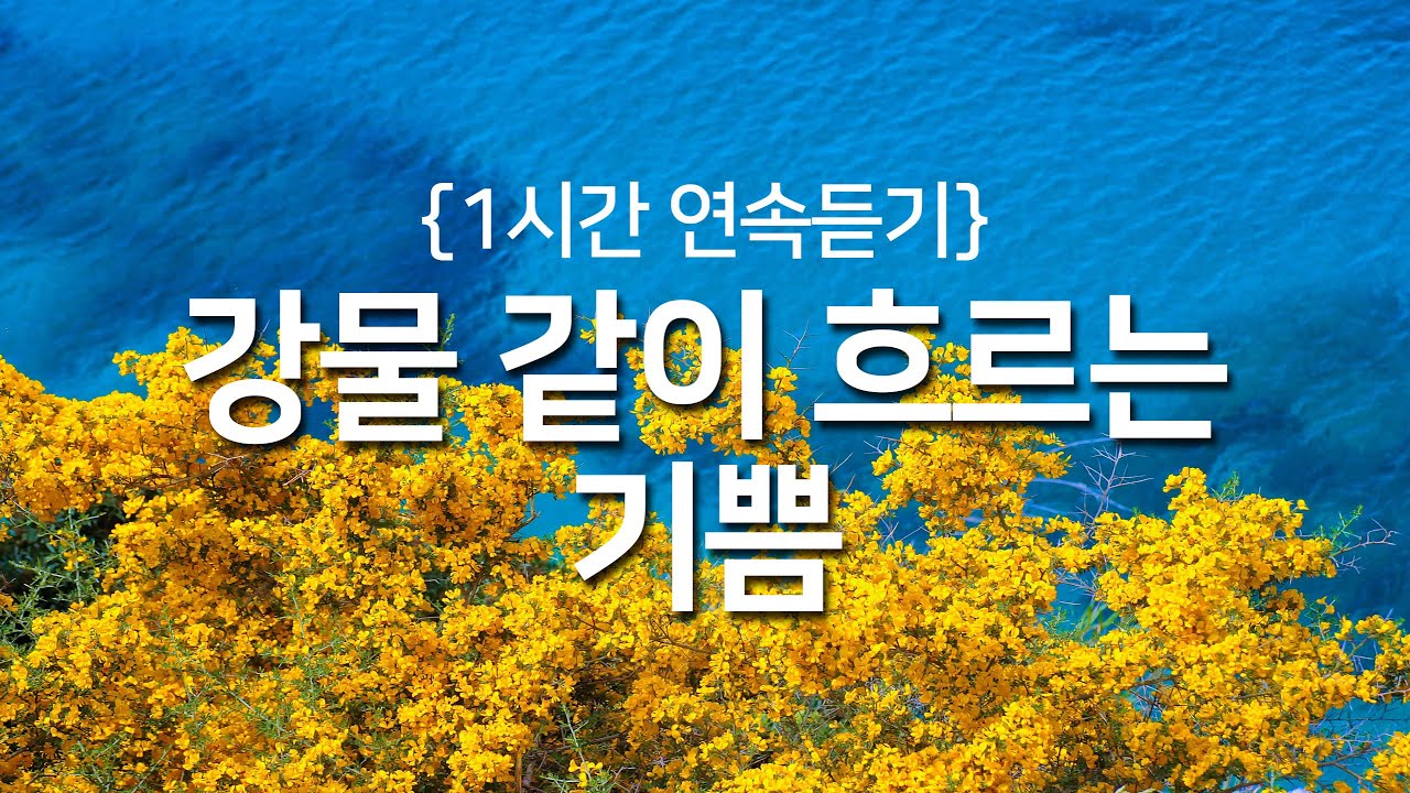 찬송가 1시간 연속듣기 강물 같이 흐르는 기쁨새찬송가 182장광고없는찬송가 찬송가베스트 찬송 찬송가 연속 듣기